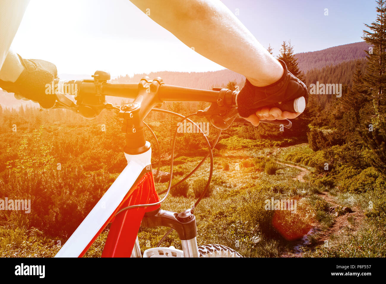 Hands holding handlebar bicycle hi-res stock photography and images - Alamy