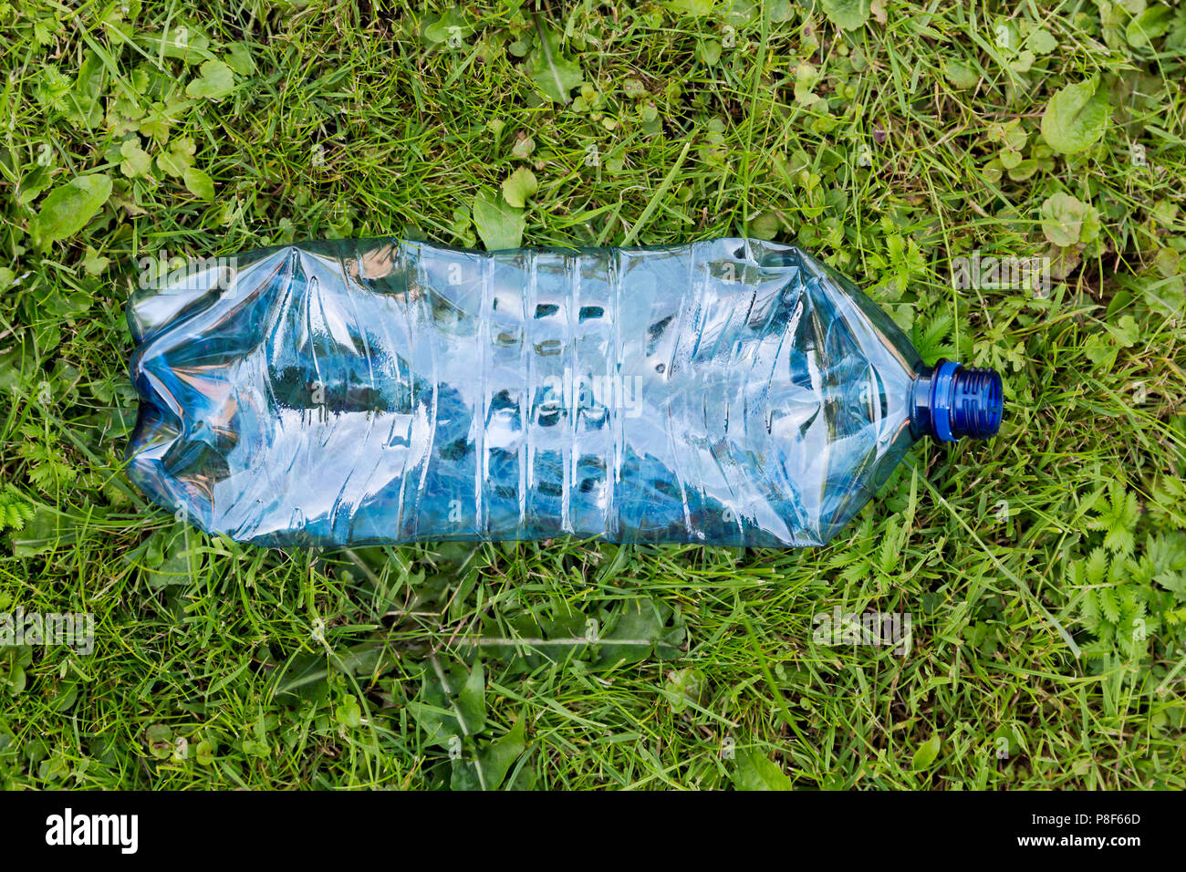 Crushed blue plastic bottle laying in grass. Pollution and environment ...