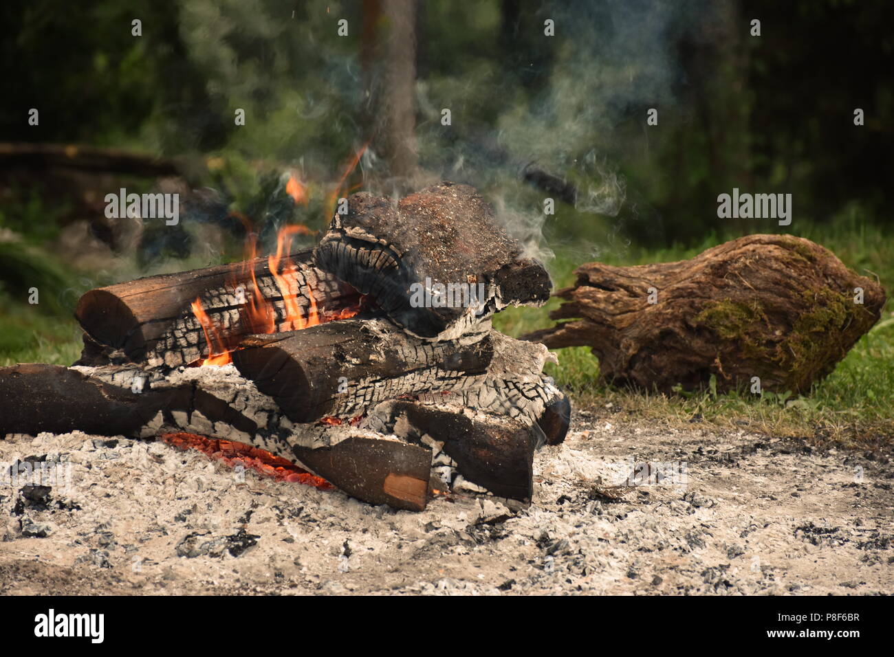 Campfire nature hi-res stock photography and images - Alamy