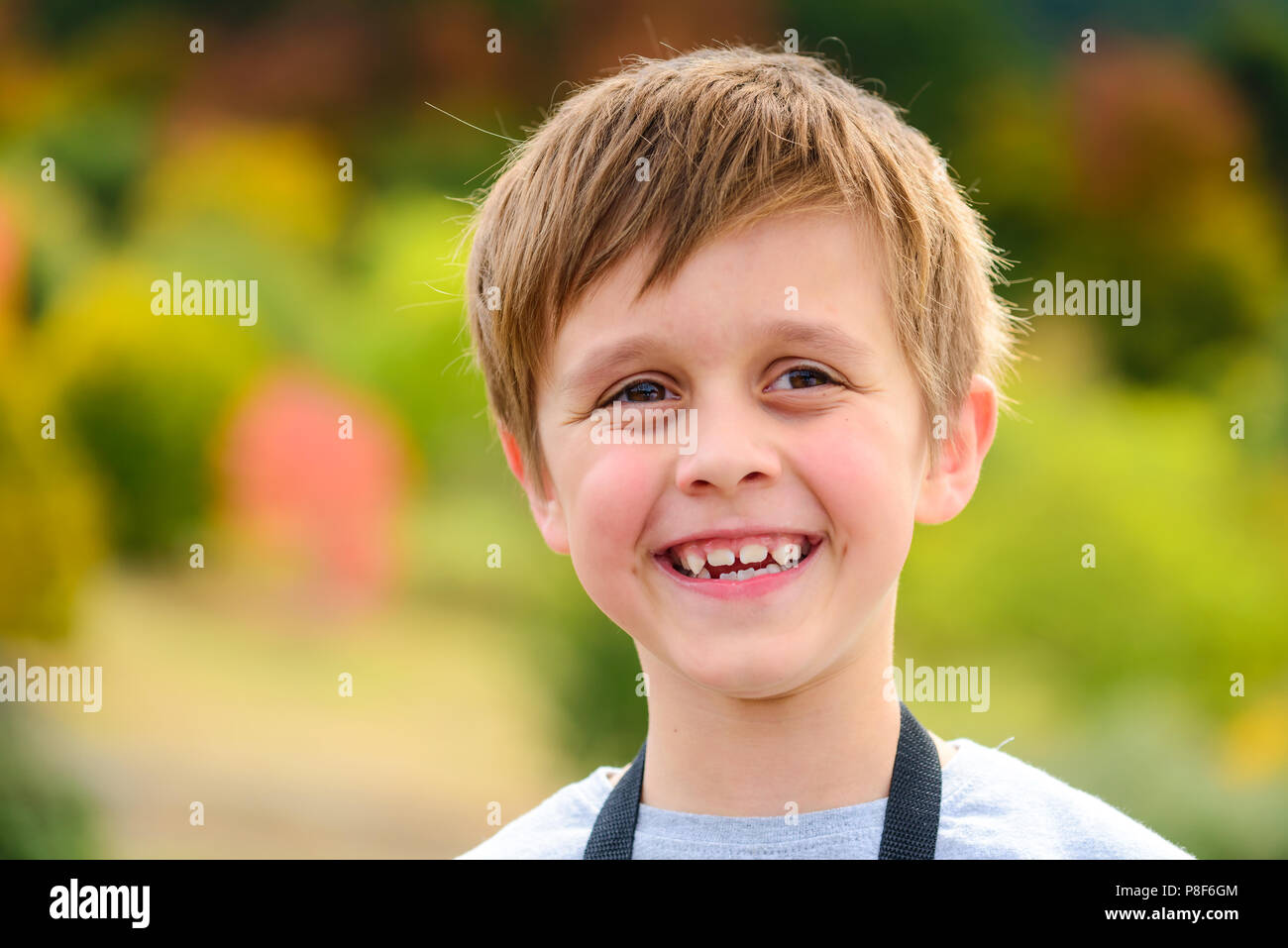 Aussie colours hi-res stock photography and images - Alamy