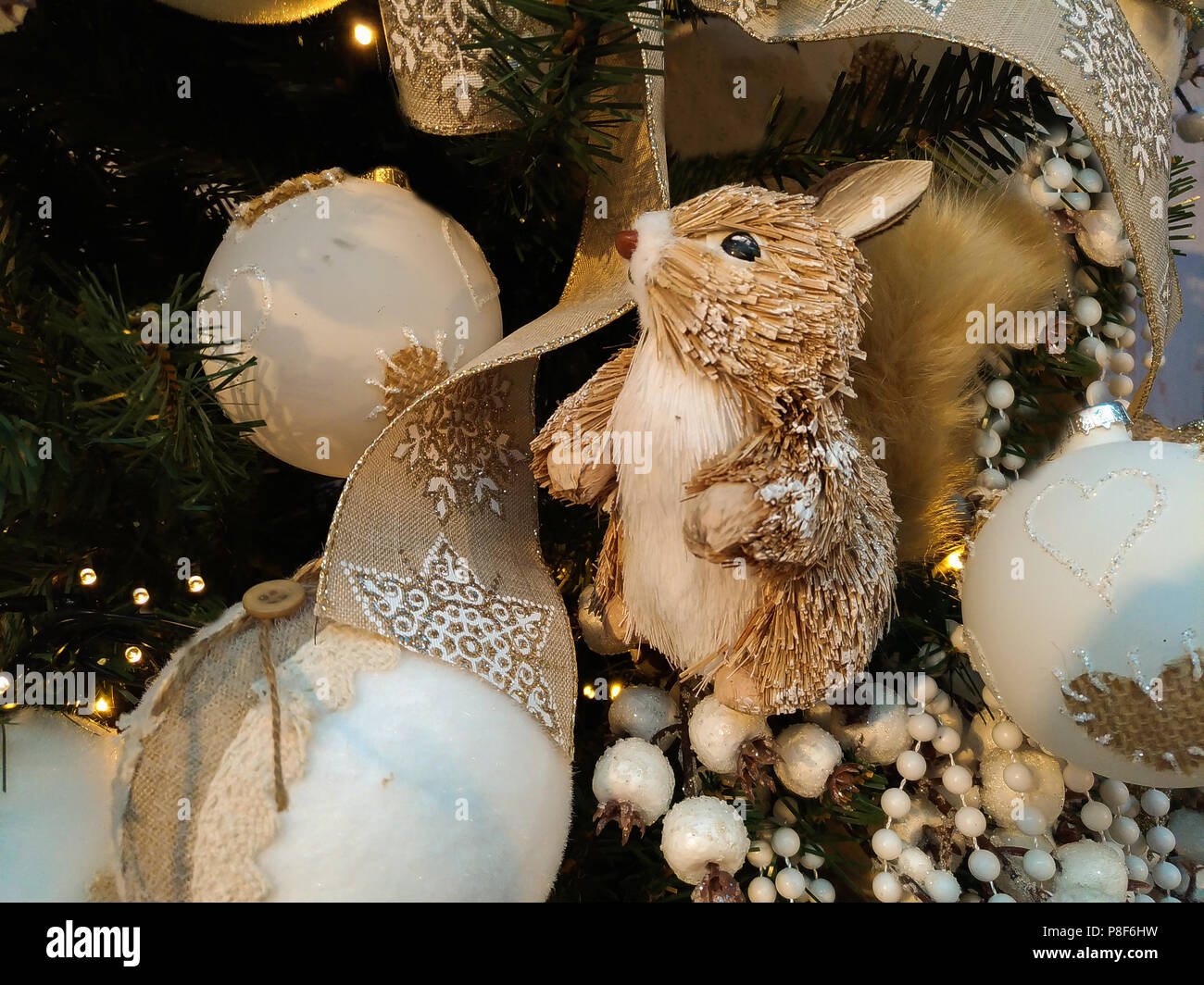 Squirrel at christmas hi-res stock photography and images - Alamy