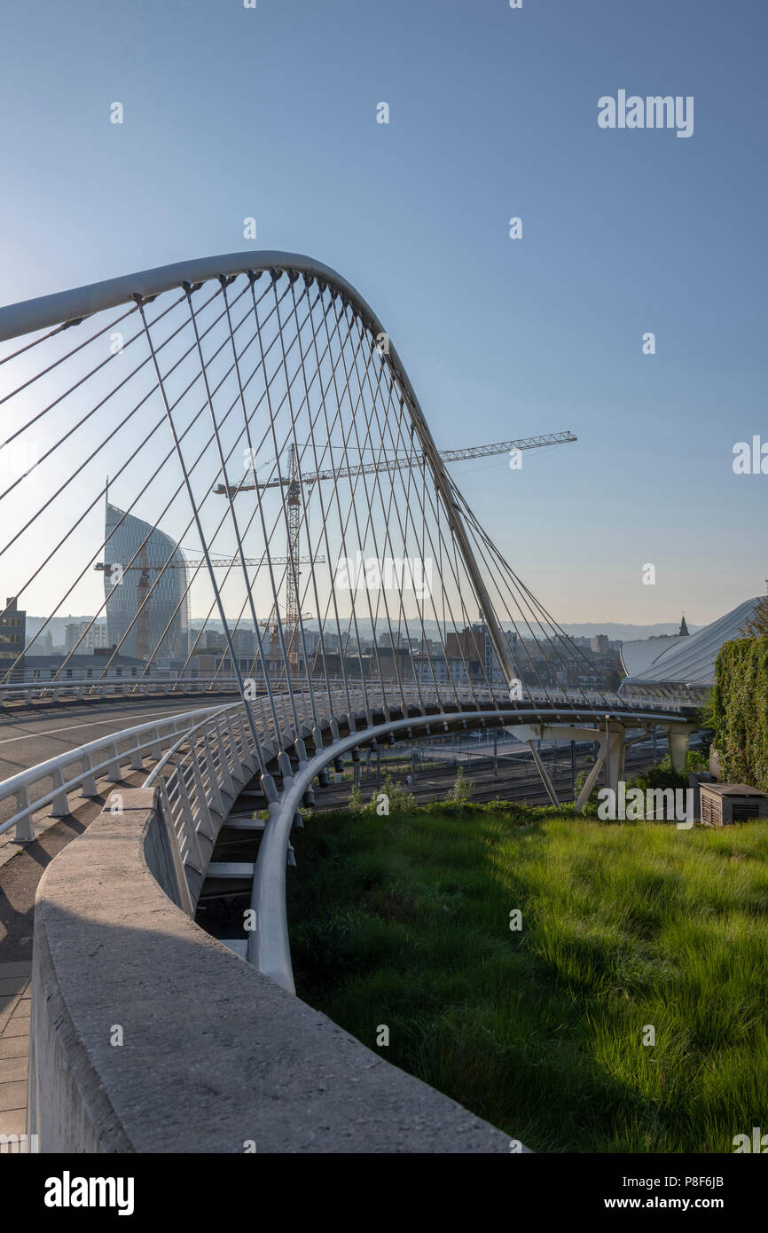 Liege Guillemins Station in Belgium, Architect Santiago Calatrava Stock ...