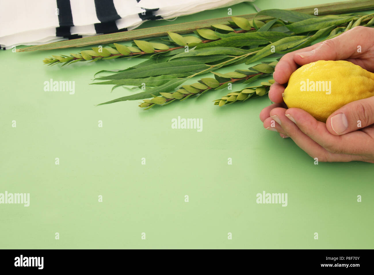 Jewish festival of Sukkot. Traditional symbols (The four species ...