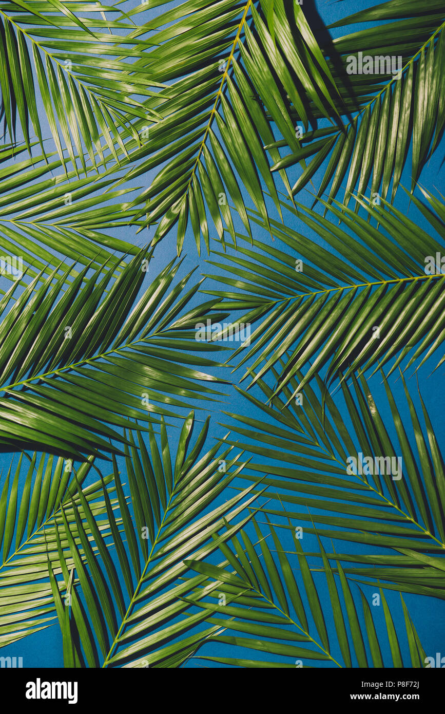 Greenery background hi-res stock photography and images - Alamy