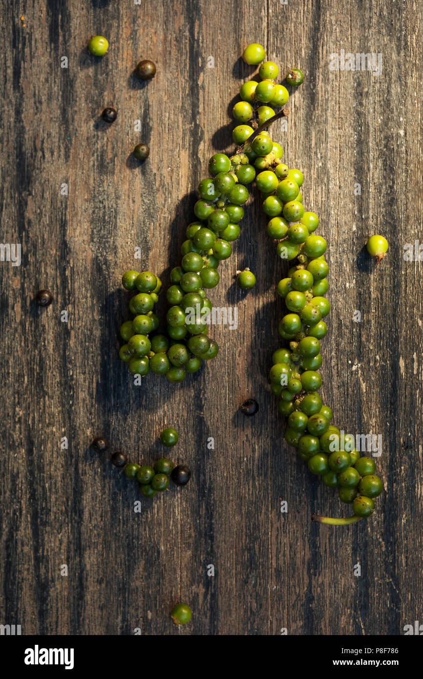 Green fresh peppercorn bunch from above drying on sun Stock Photo - Alamy