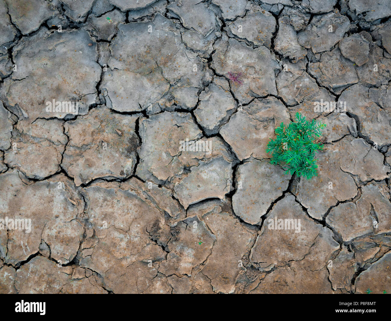 Soil zones hi-res stock photography and images - Alamy