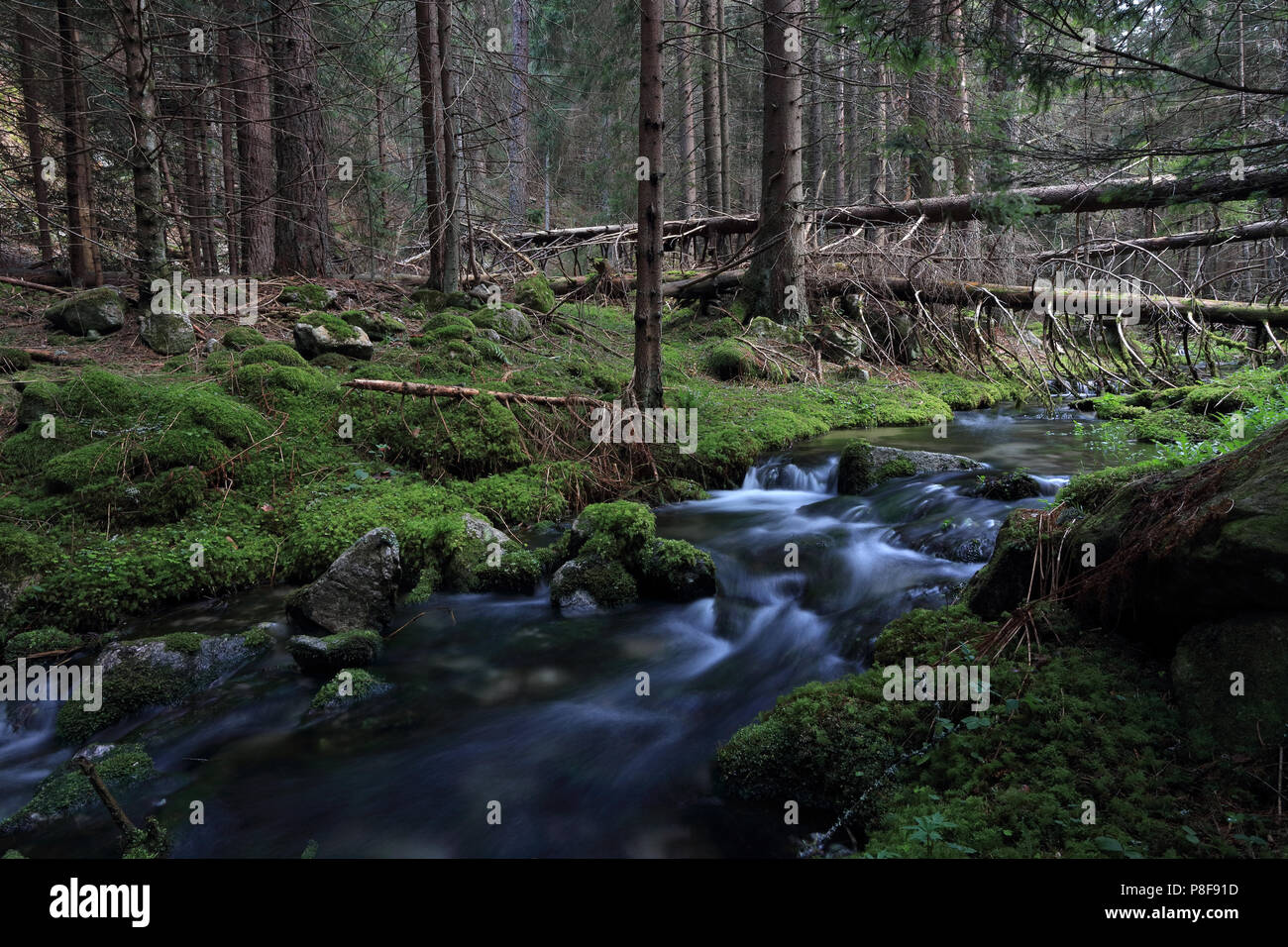 The beli iskar river hi-res stock photography and images - Alamy