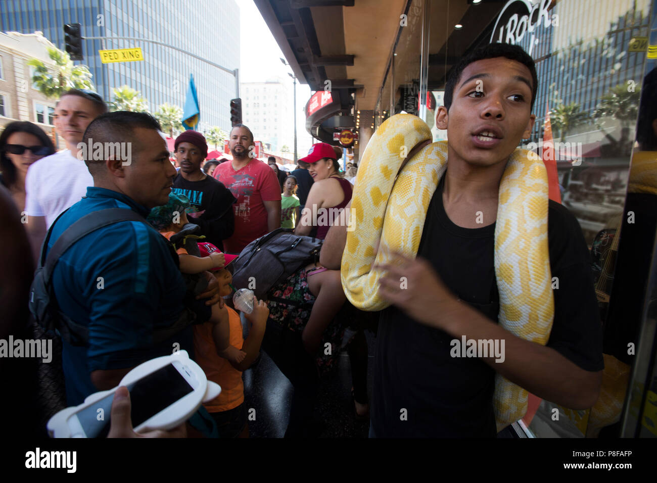 Snake handler usa hi-res stock photography and images - Alamy