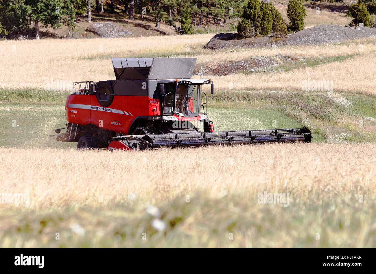 Red combine harvester hi-res stock photography and images - Alamy