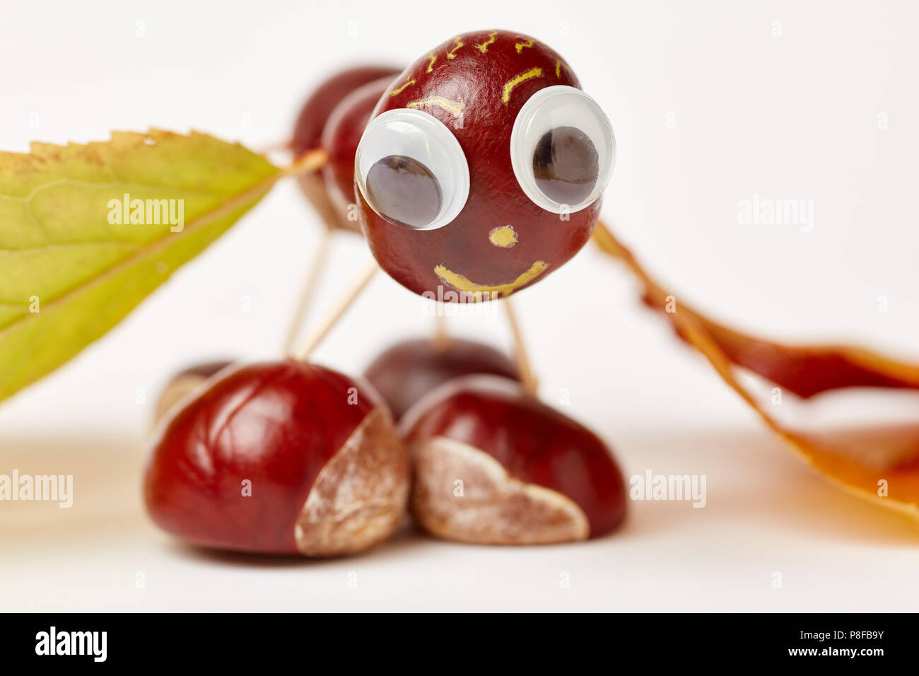 Cute chestnut animal made from chestnuts in autumn Stock Photo - Alamy