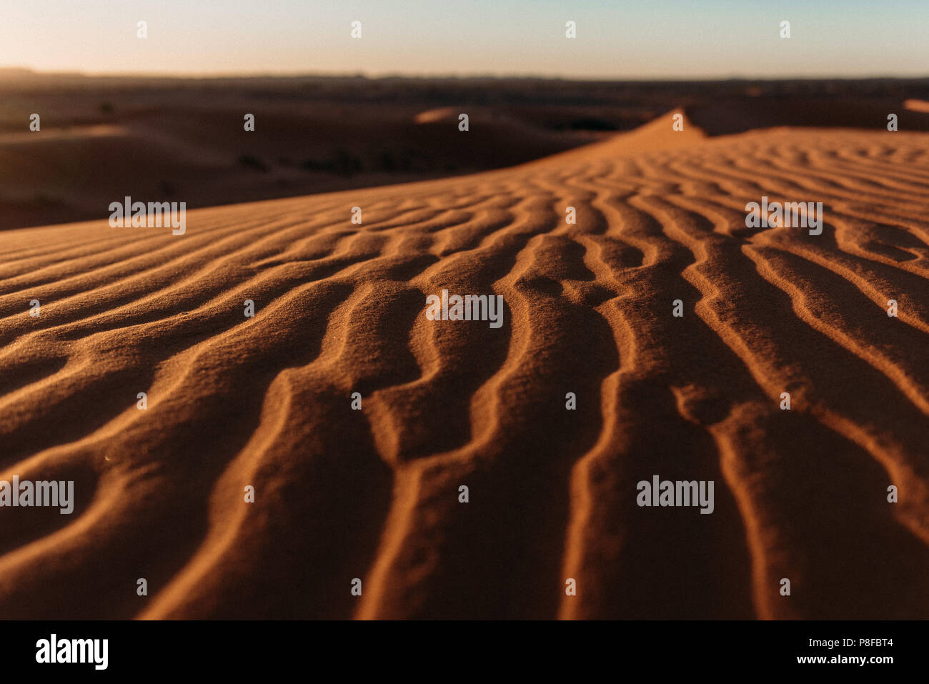 Ripples in the sand, Sahara desert, Morocco Stock Photo - Alamy