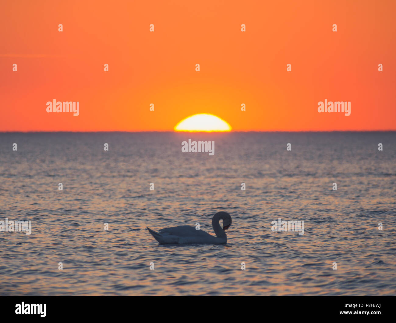 Sun touching sea surface hi-res stock photography and images - Alamy