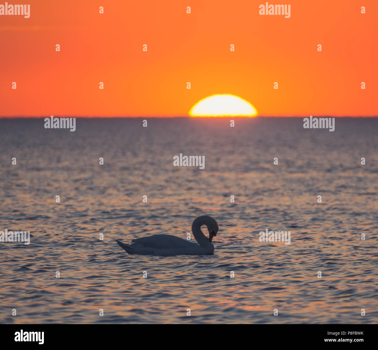 Lithuania dark sky hi-res stock photography and images - Alamy