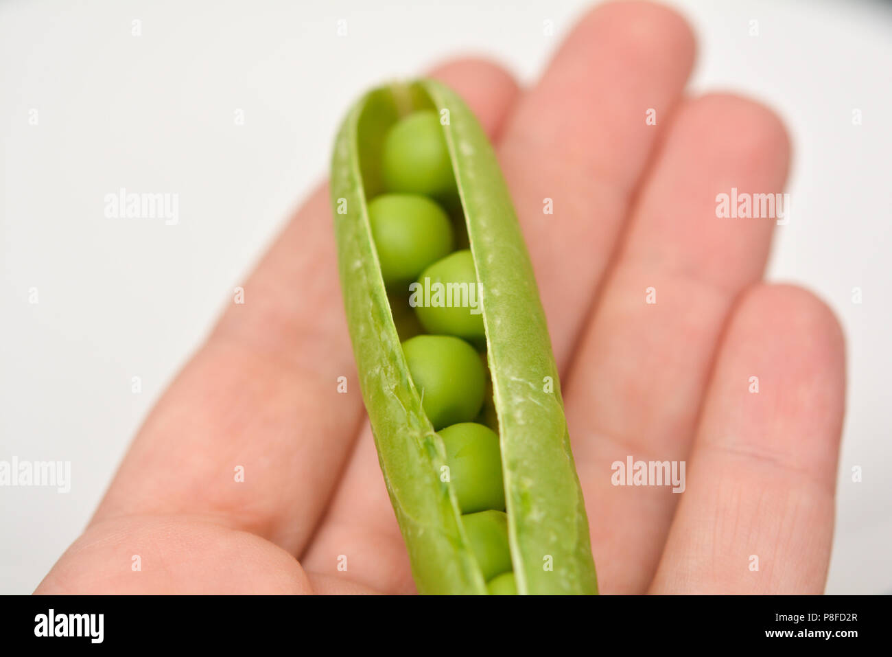 Hand picked locally grown fresh peas in a pod Stock Photo - Alamy