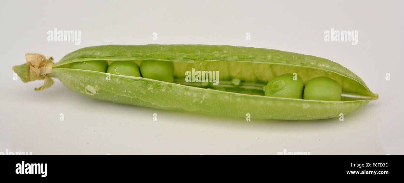 Hand picked locally grown fresh peas in a pod Stock Photo - Alamy
