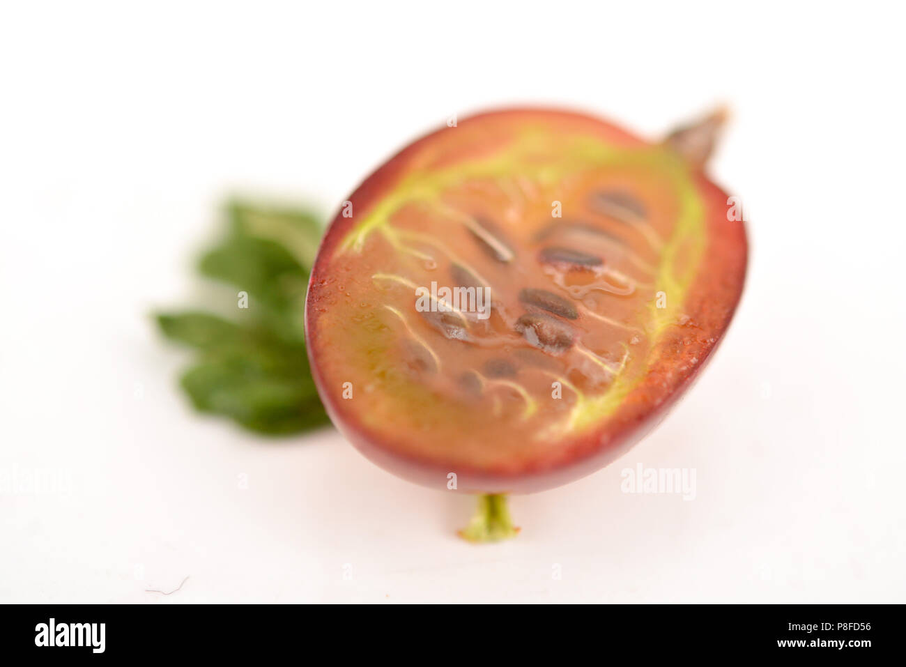 Inside A Gooseberry High Resolution Stock Photography and Images - Alamy