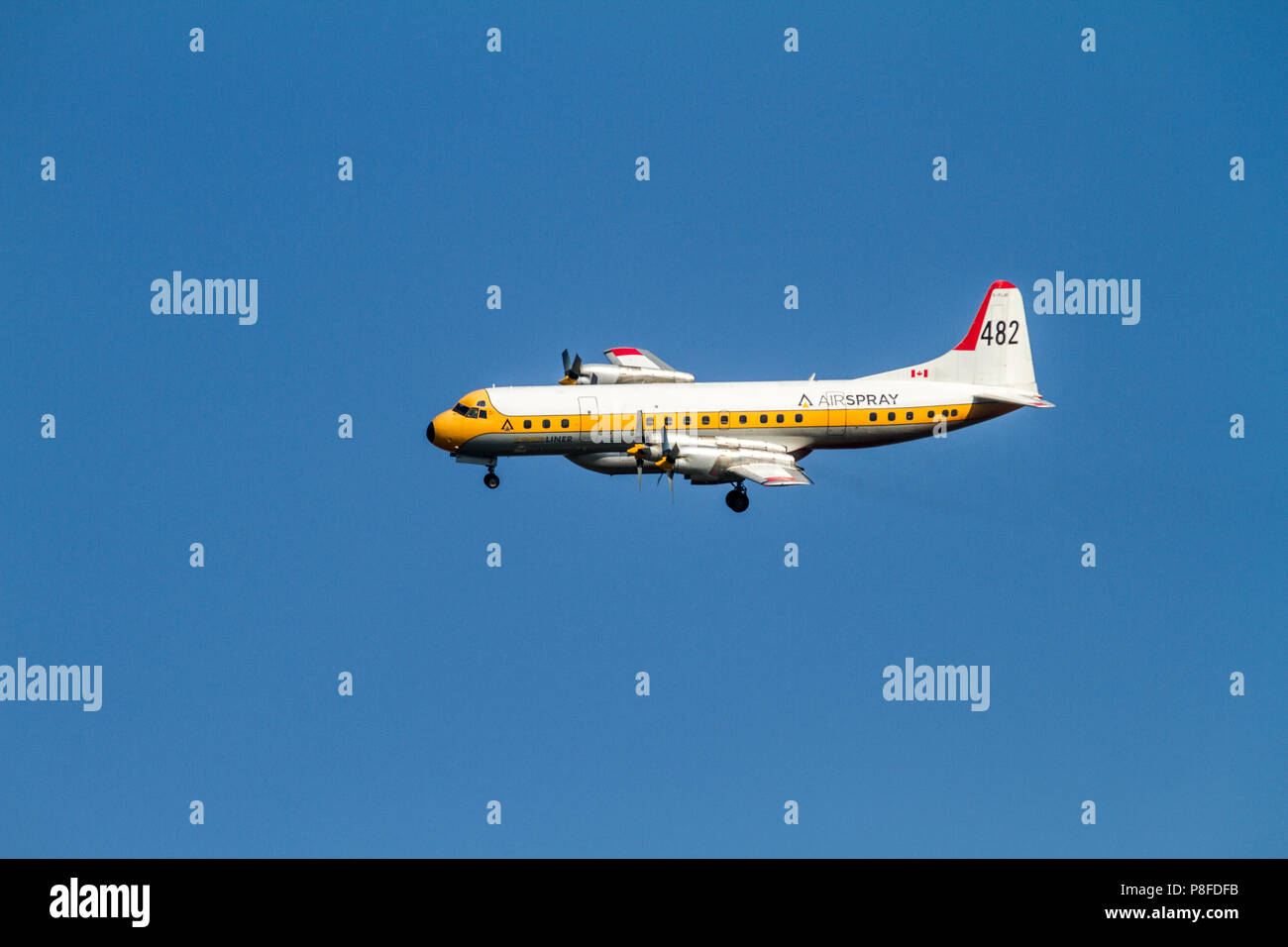 Lockheed L-188 Electra water bomber in flight to drop load on BC forewt ...