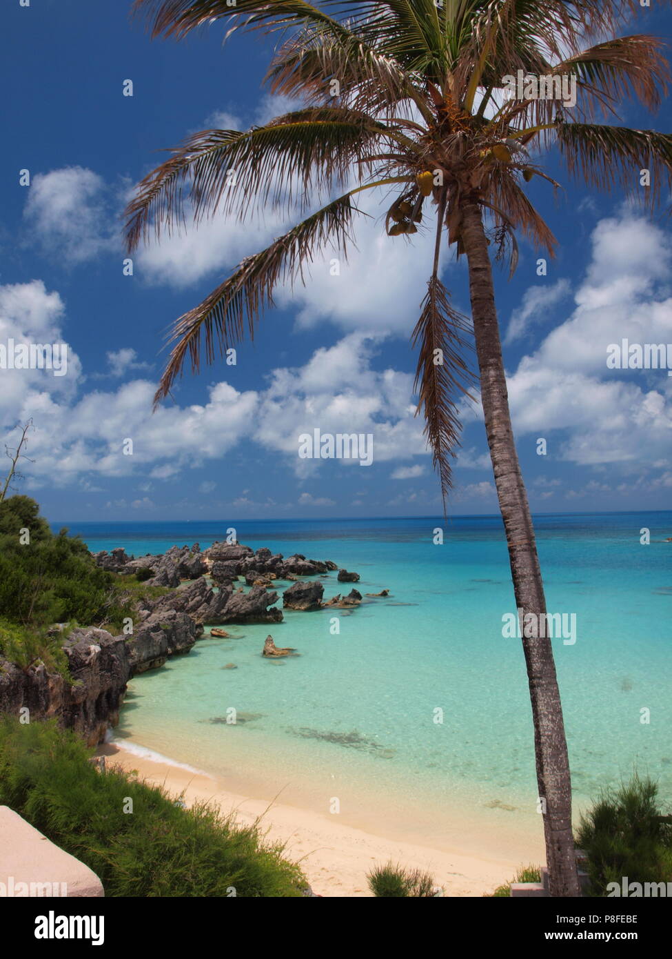 Typical bermuda beach scene hi-res stock photography and images - Alamy