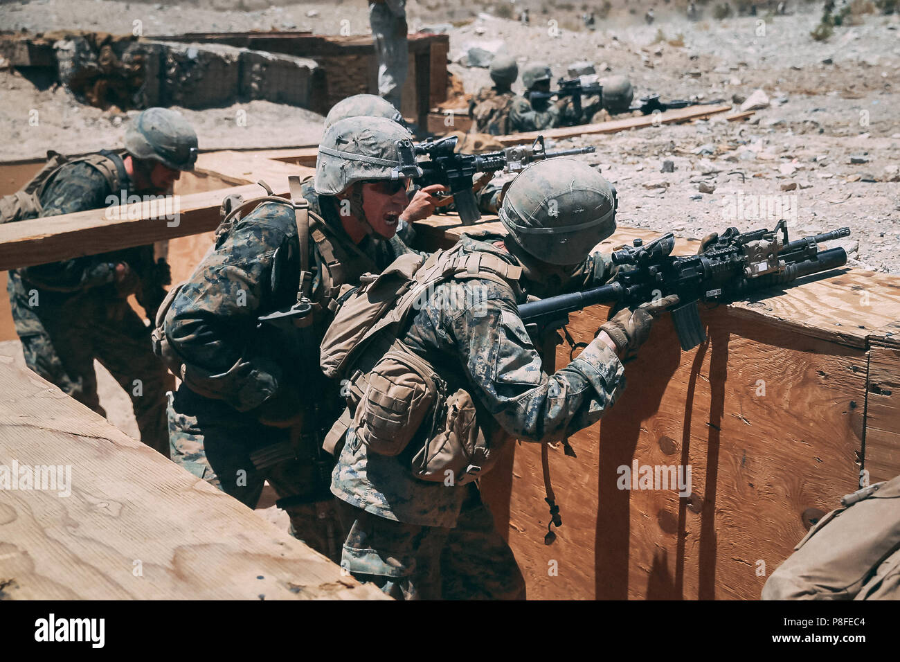 Marine Infantry Officer