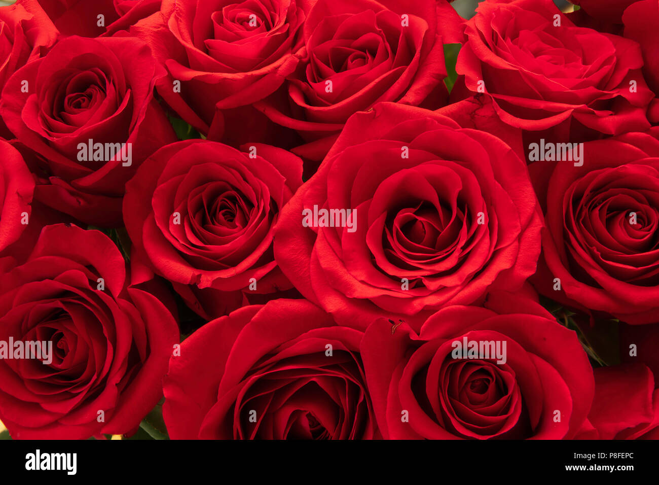 Bouquet of red roses Stock Photo - Alamy