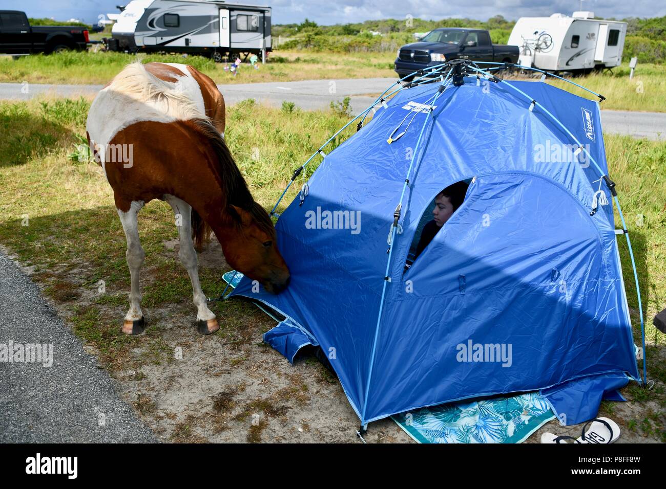 Usa campground hi-res stock photography and images - Alamy