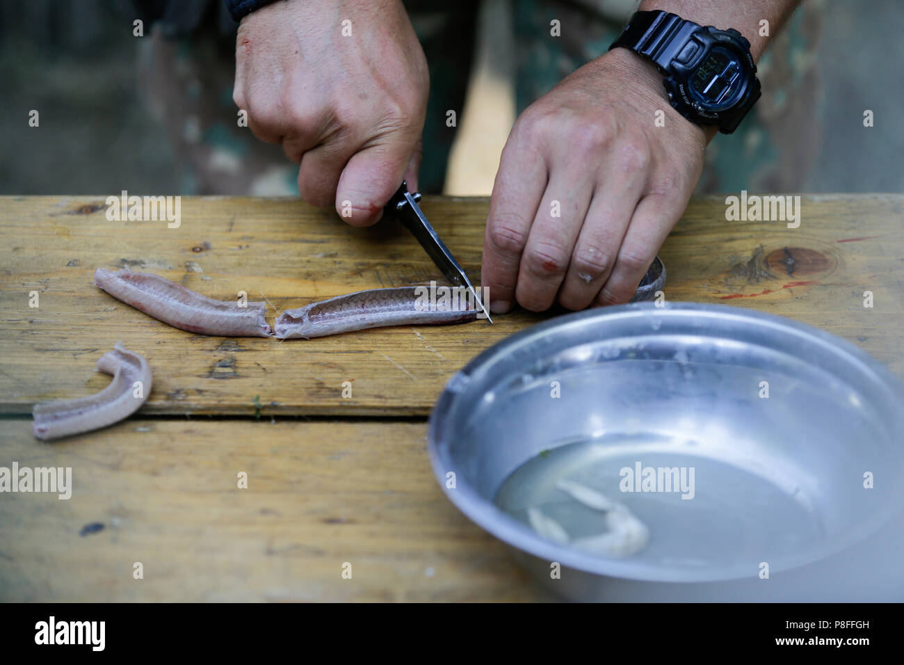 Snake with legs hi-res stock photography and images - Alamy