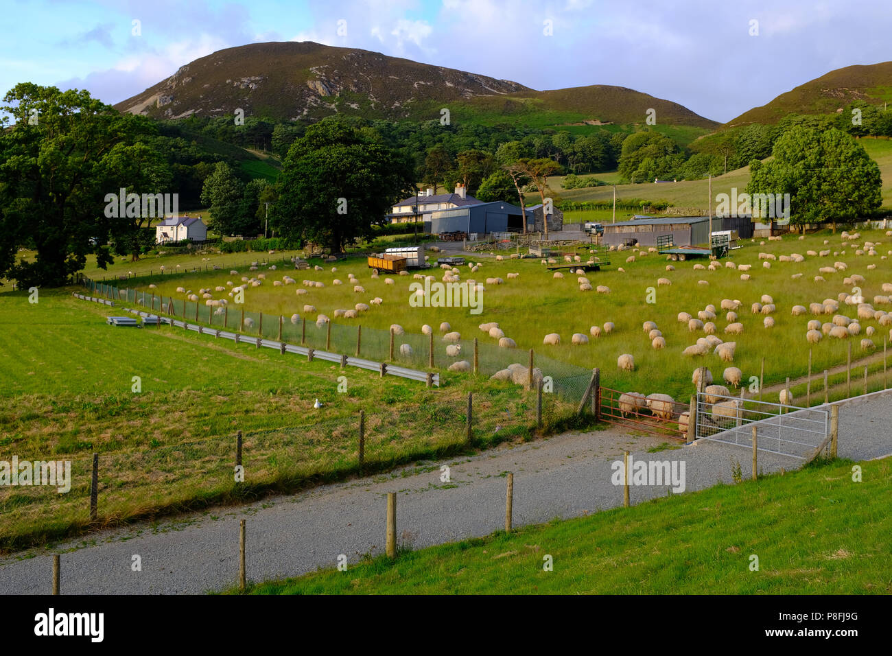 Remote farms wales hi-res stock photography and images - Alamy