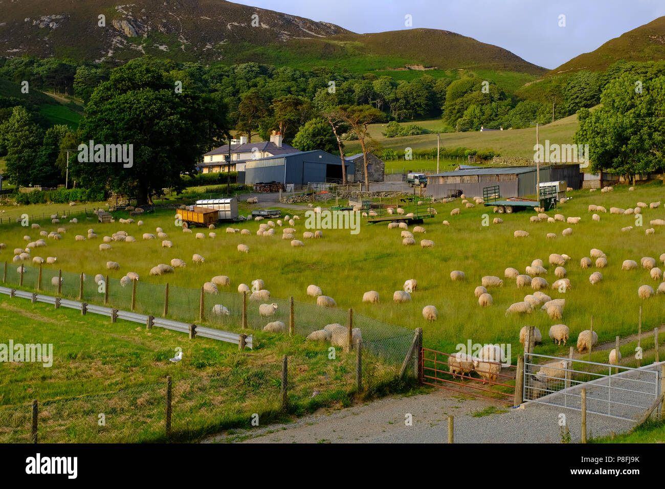 Penmaenmawr mountain hi-res stock photography and images - Alamy