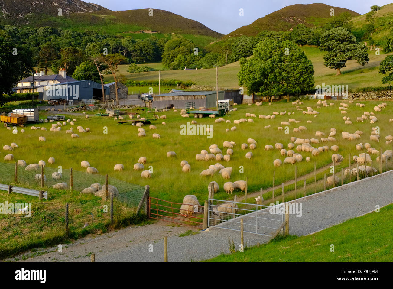Penmaenmawr mountain hi-res stock photography and images - Alamy
