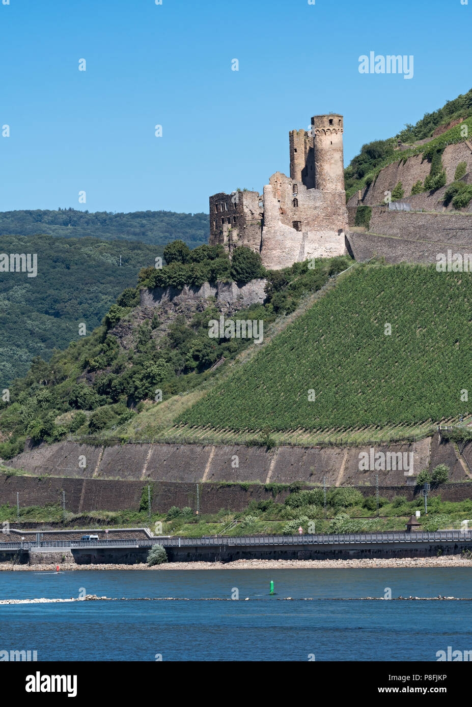 Rhine river germany castle vineyards hi-res stock photography and ...