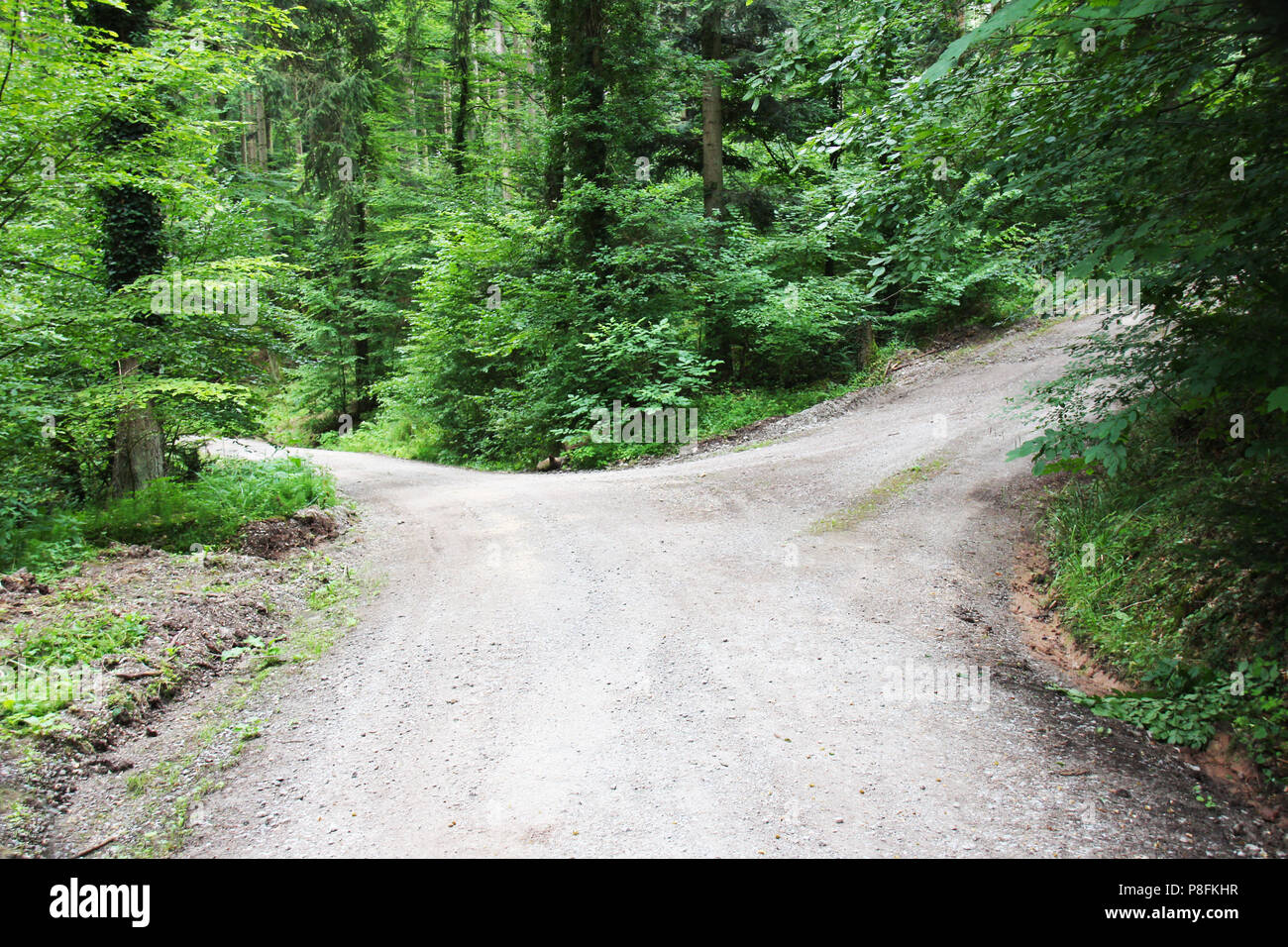 Tree crossroads hi-res stock photography and images - Alamy