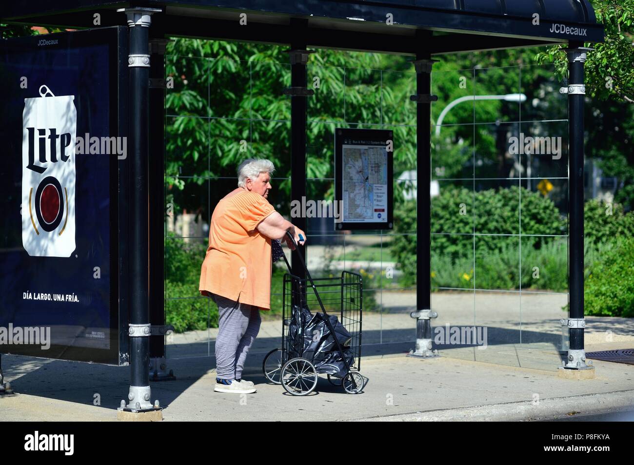 Chicago Bus Shelters
