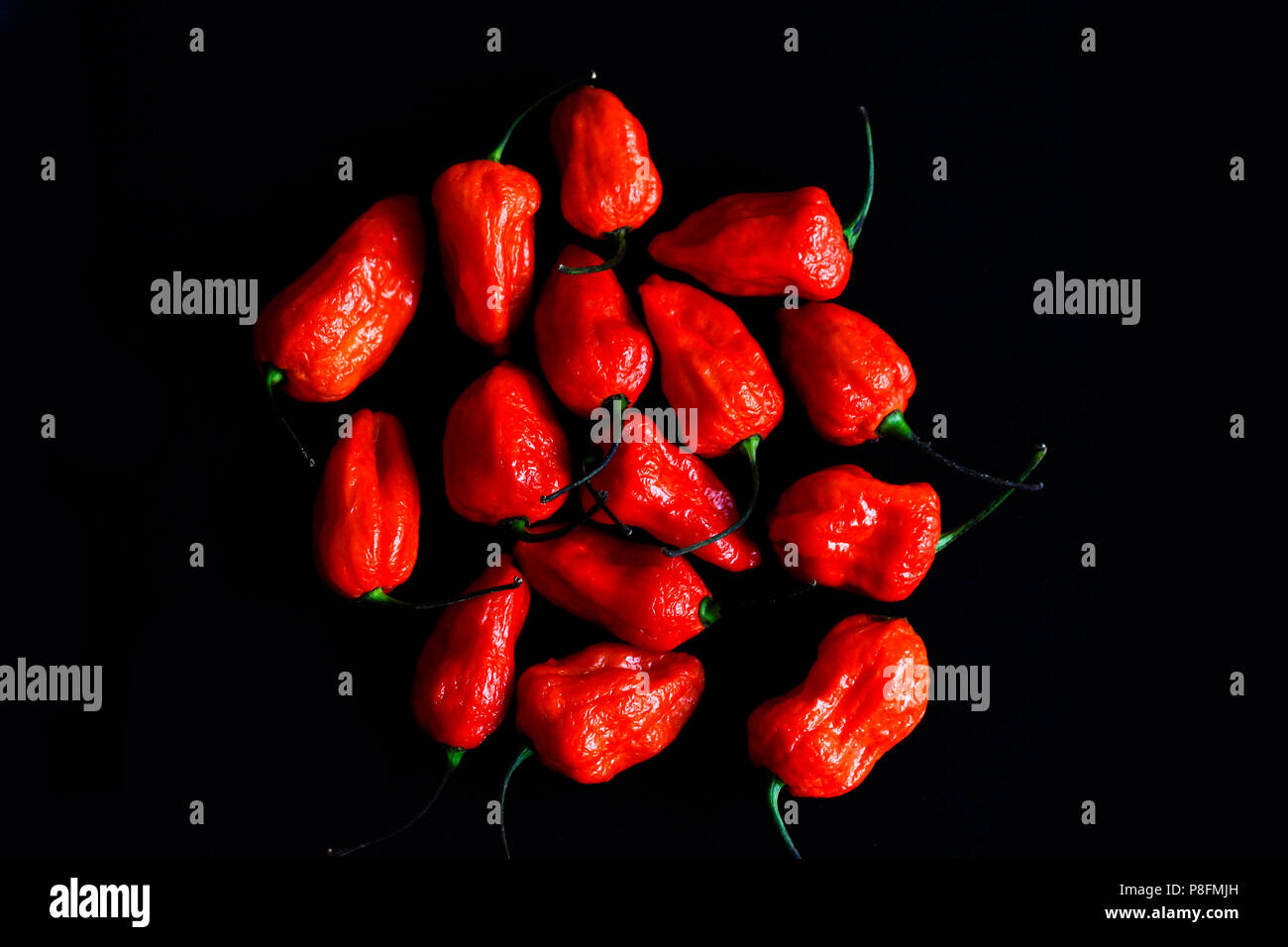 Bunch of Red Bhoot Jolokia Spicy ghost pepper isolated in black ...
