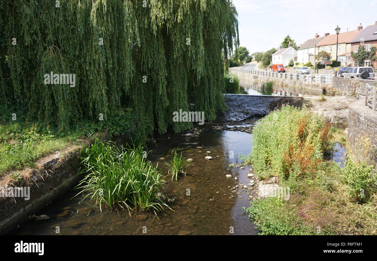 Weeping Willow Tree Overhanging a stream in Crakehall Village with ...