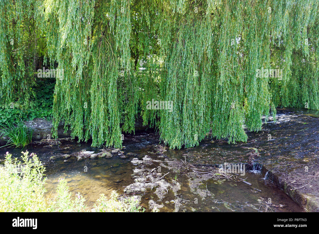 Village at a riverside hi-res stock photography and images - Alamy