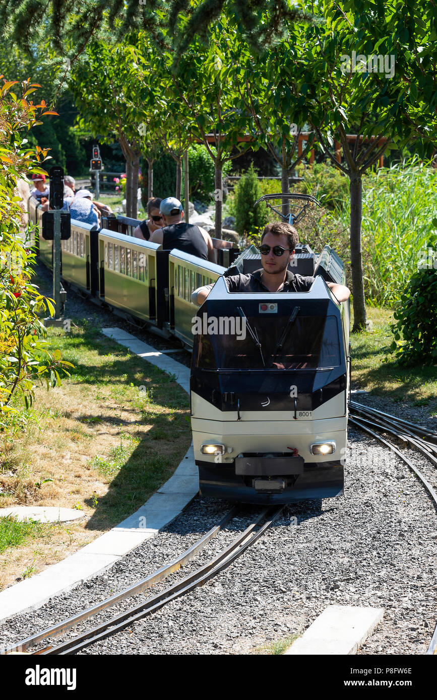 A Miniature Diesel Electric Railway Train Pulling Coaches at rhe Swiss ...