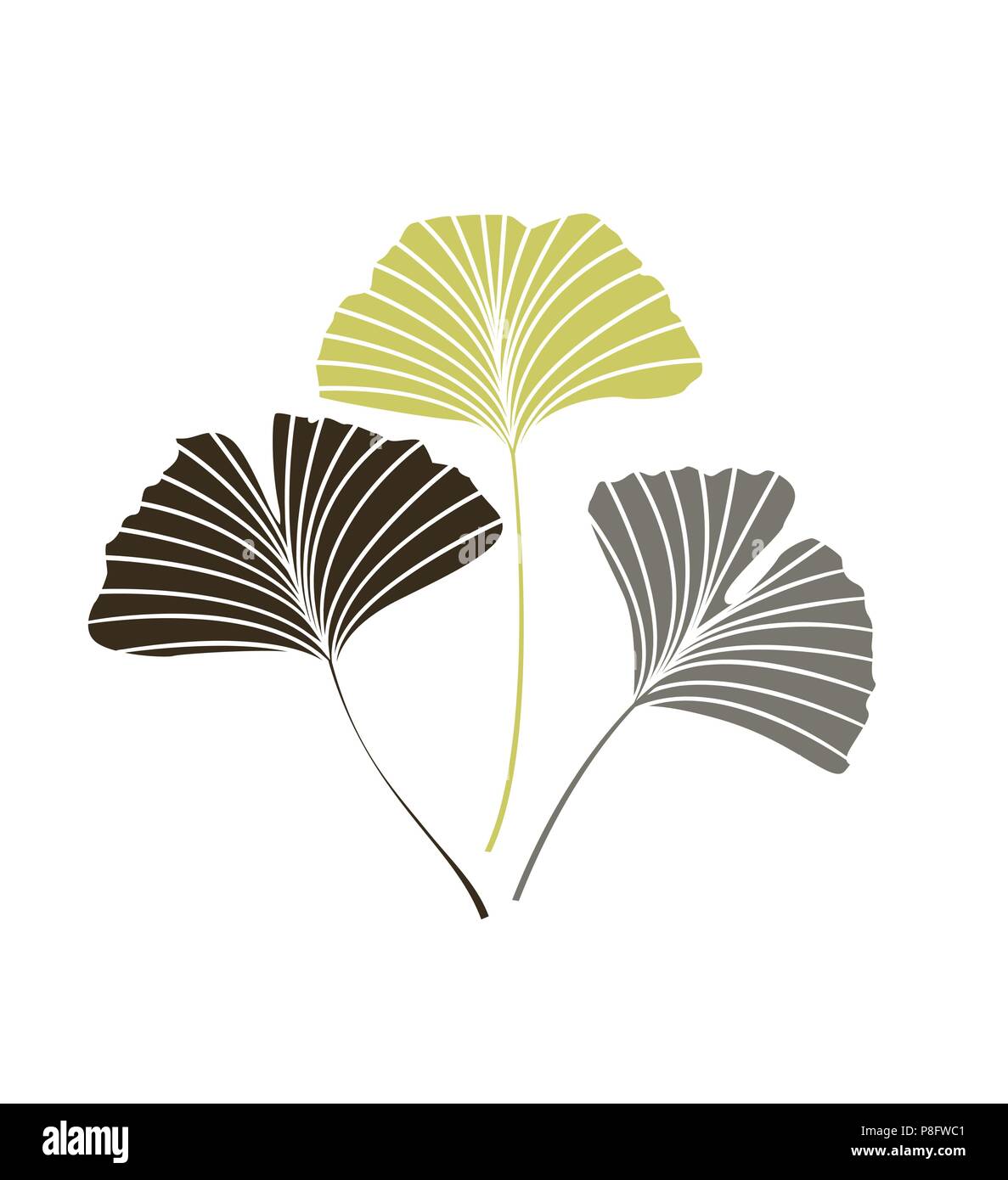 Vector Illustration ginkgo biloba leaves. Nature background with leaves ...
