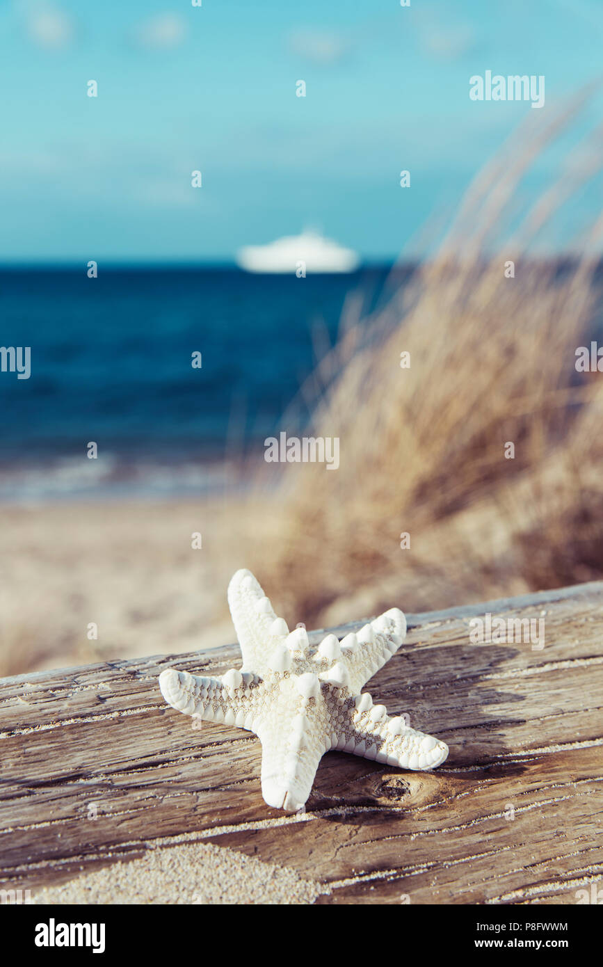 Ship trunk hi-res stock photography and images - Alamy