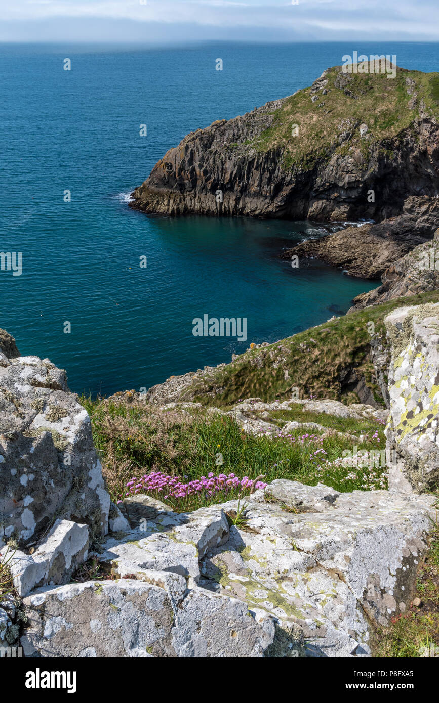 Solva village hi-res stock photography and images - Alamy