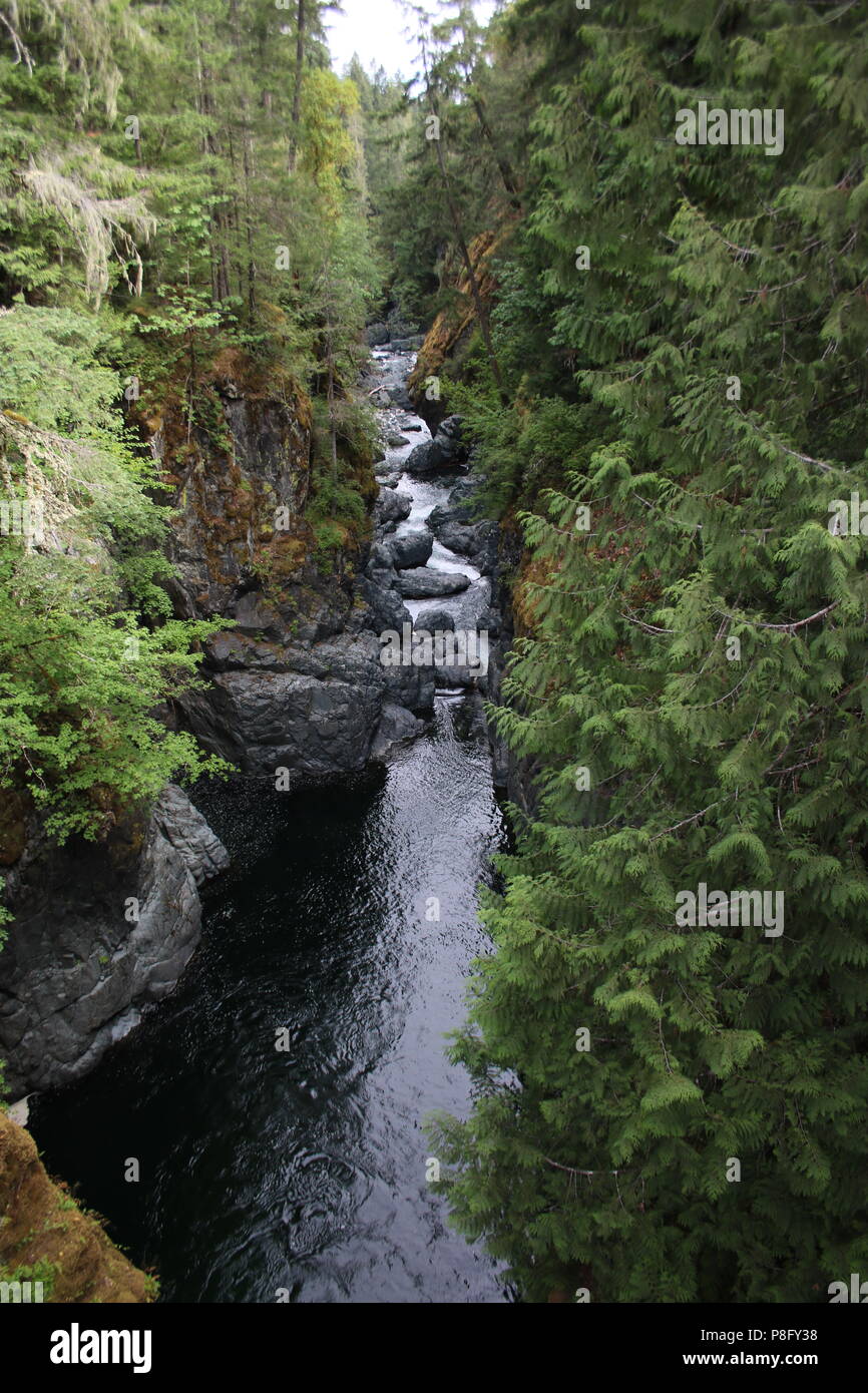 Beautiful white foamy woodland waterfall hi-res stock photography and ...
