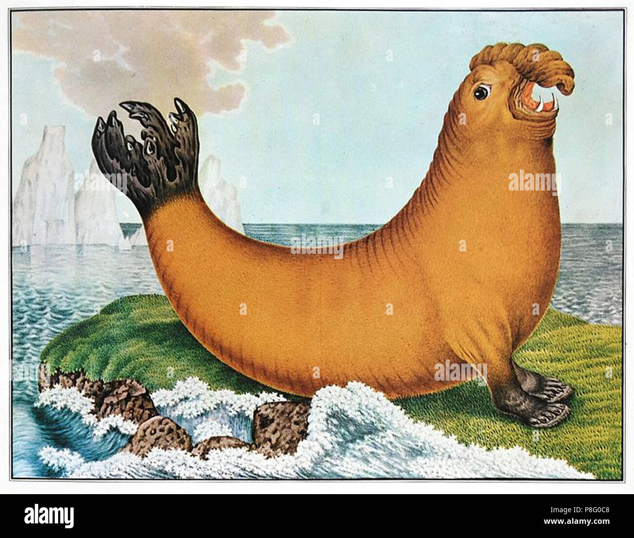 Vintage beastmaster artwork Stock Photo - Alamy