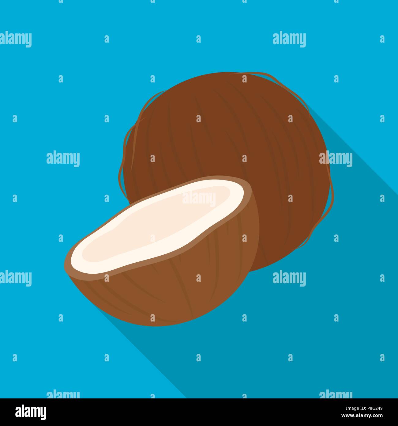 almond,assortment,brown,diet,dry,eat,flat,food,fruit,hazel,hazelnut ...