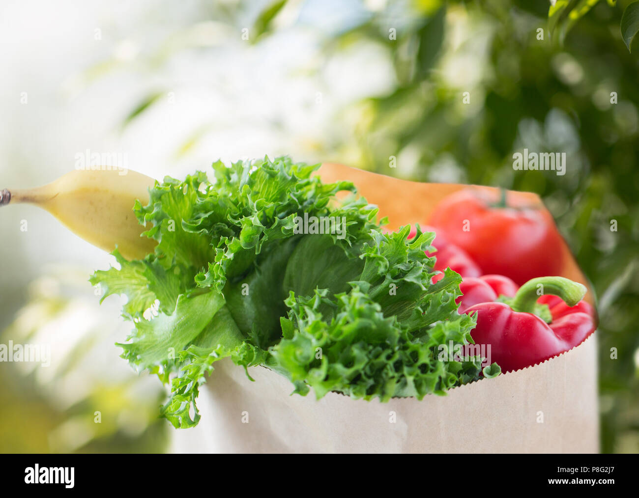 Vegetable bag hi-res stock photography and images - Alamy