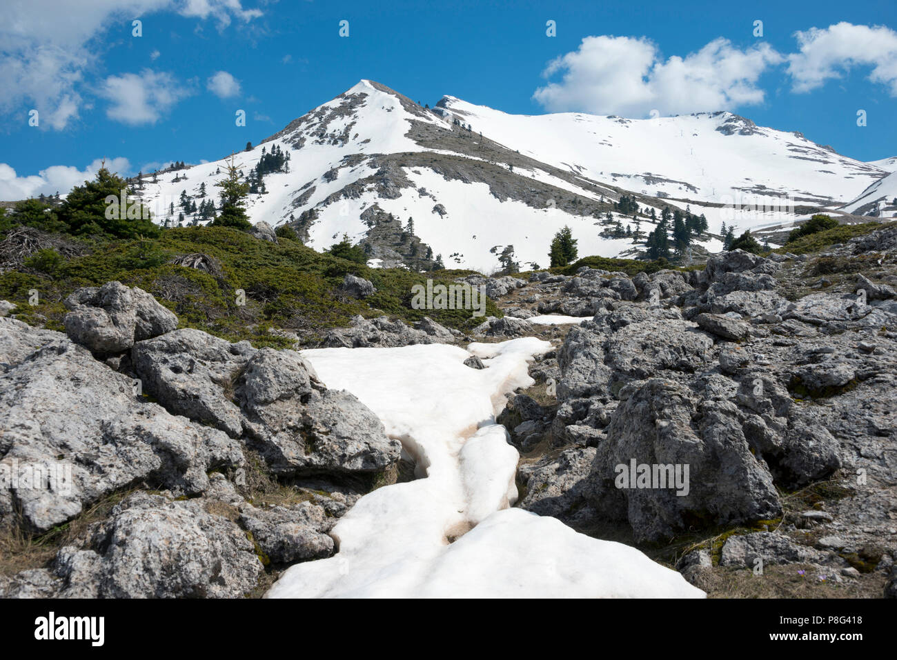 Mount Helmos, Kalavryta, Achaia, Peloponnese, Greece, Chelmos Stock ...