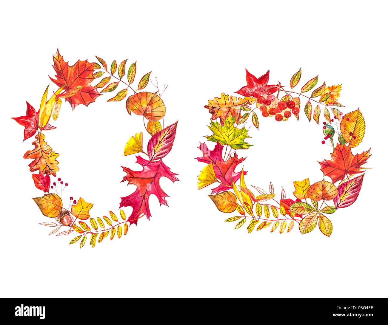 Autumn composition. Wreath made of autumn berries and leaves on white ...