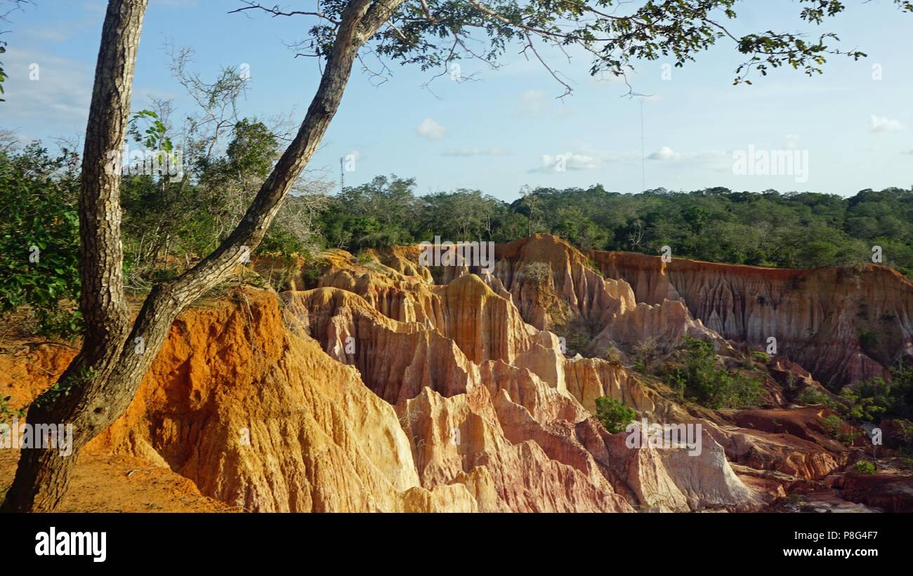Hells Kitchen Canyon of Marafa in Keyna Stock Photo - Alamy