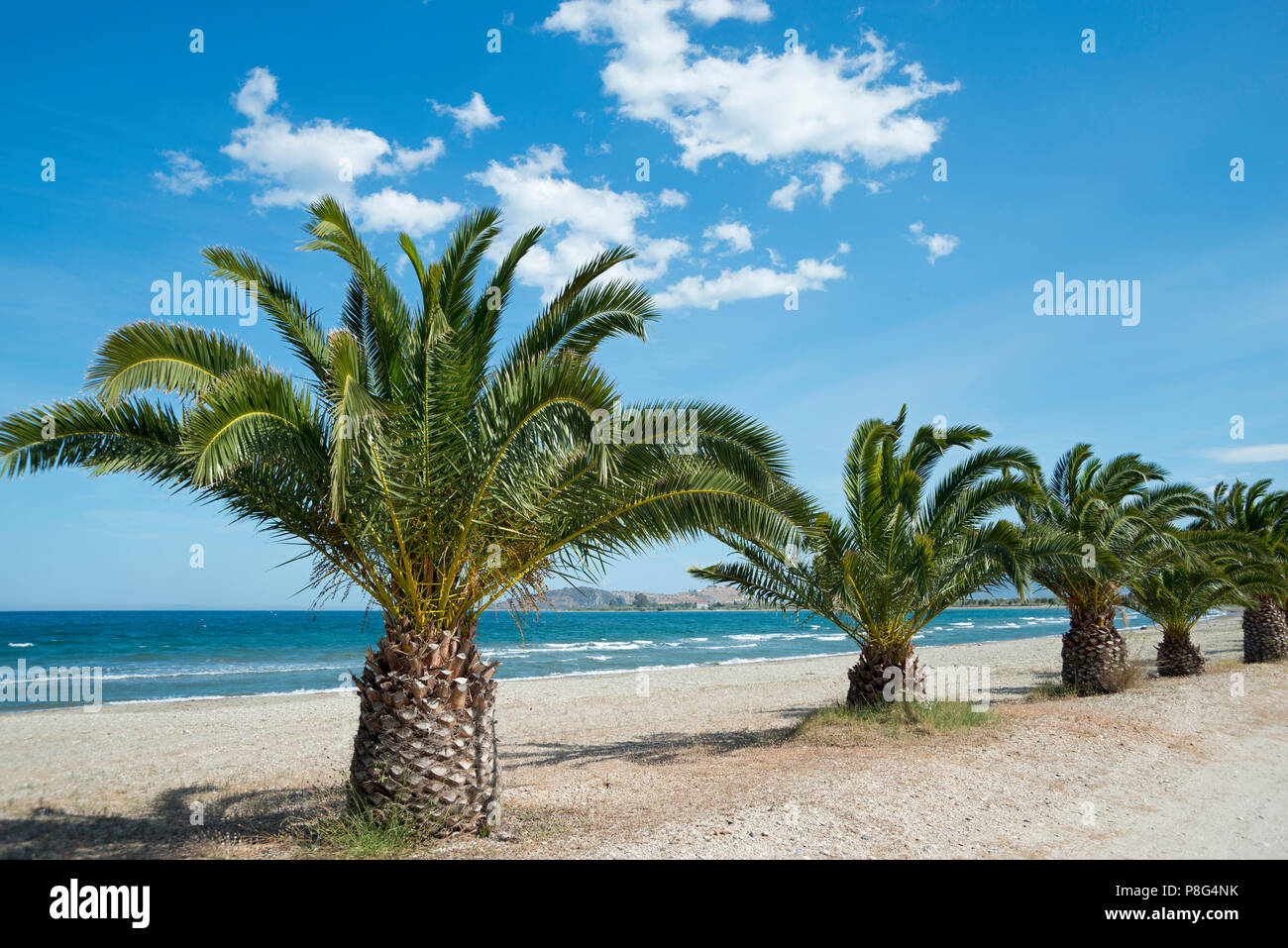 Arkadia beach hi-res stock photography and images - Alamy