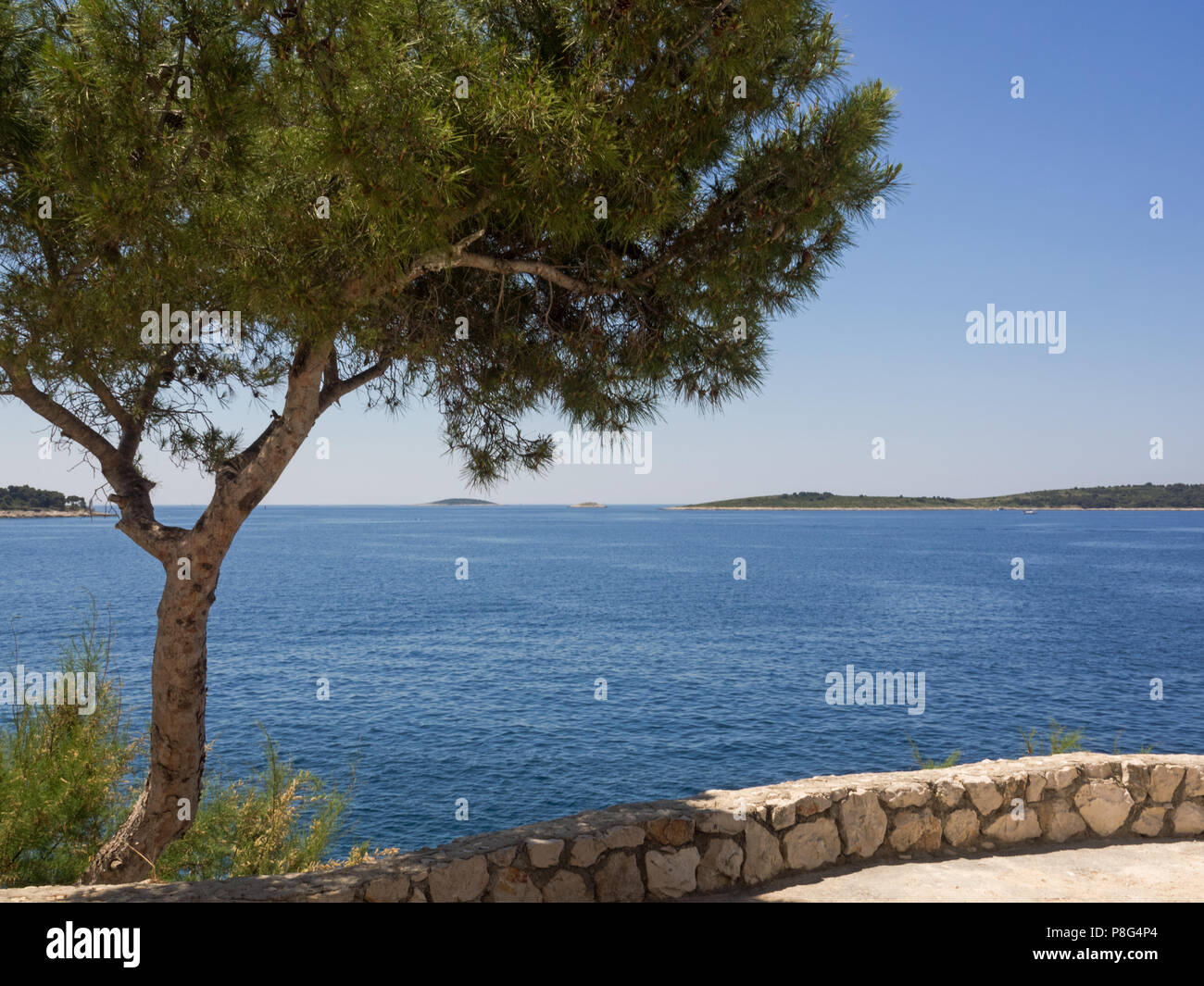 Sea pine tree croatia hi-res stock photography and images - Alamy