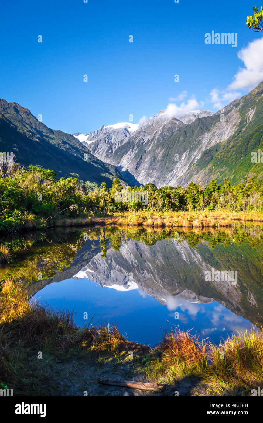 Franz Josef glacier reflecting in a lake, New Zealand Stock Photo - Alamy