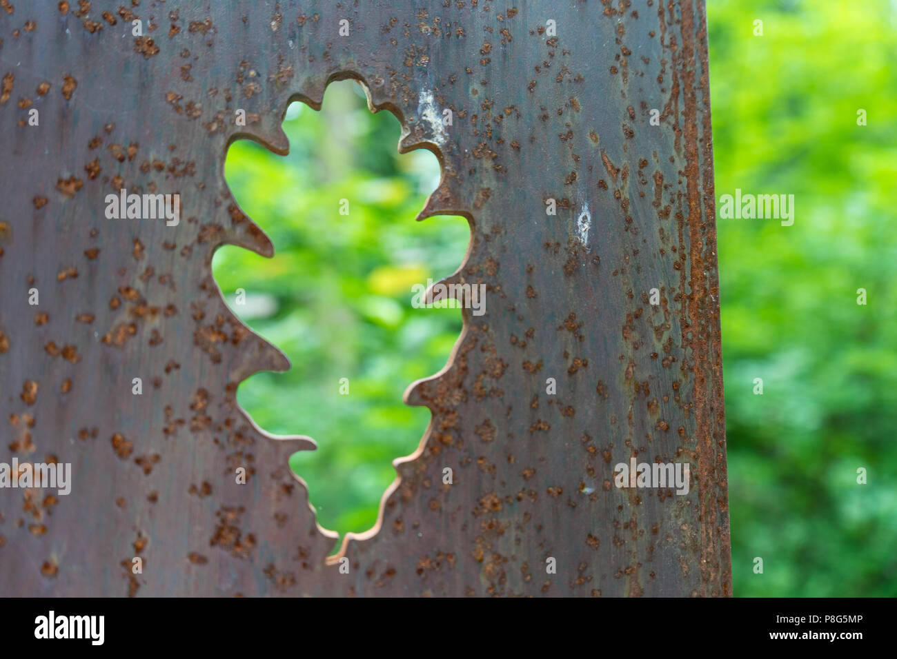 rusty metal flower sculptures in forest with tree background Stock ...